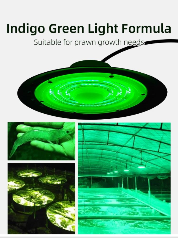 Shrimp Farming LED Lights - Hydrogrow